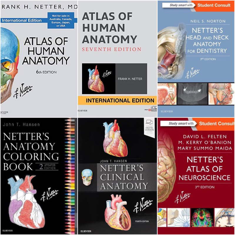 [หนังสือ ] Netter’s Atlas of Human Anatomy กายวิภาคศาสตร์ clinical ...