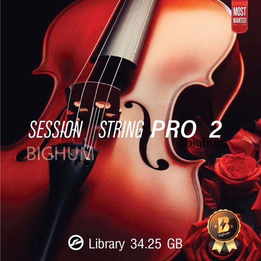 SESSION STRING PRO 2 | ติดตั้ง | Kontakt Library | software windows ...