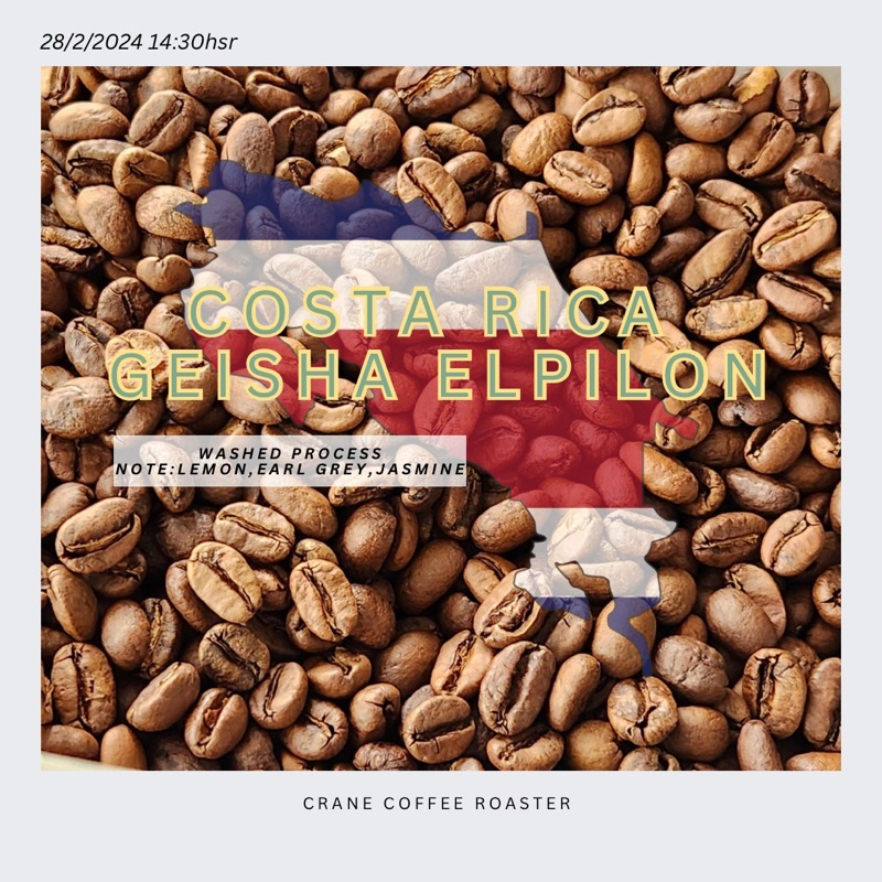 เมล็ดกาแฟคั่วอ่อน Costa Rica Geisha El Pilon (honey process) 150 กรัม ...