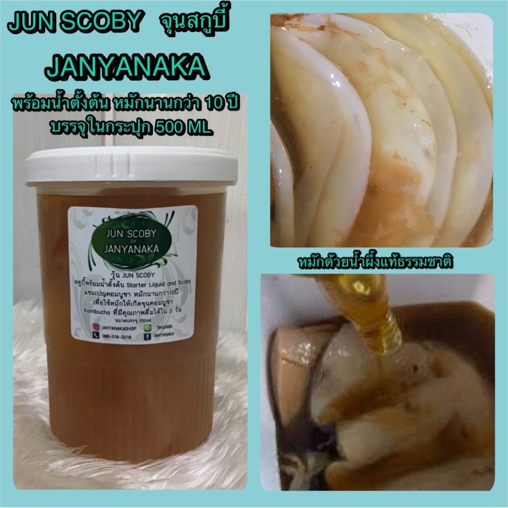 วุ้น JUN SCOBY BY JANYANAKA พร้อมน้ำตั้งต้นจาก หมักได้ 4-5ลิตร(หมักนาน ...