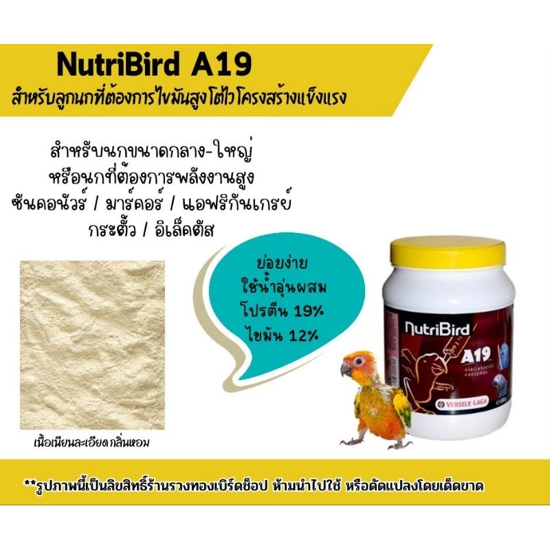 Nutribird A19 ขนาด800g และ 250g อาหารลูกป้อนอาหารลูกป้อนนกมาร์คอร์อิเล็กตัสแอฟริกันเกรย์และลูกนก ...