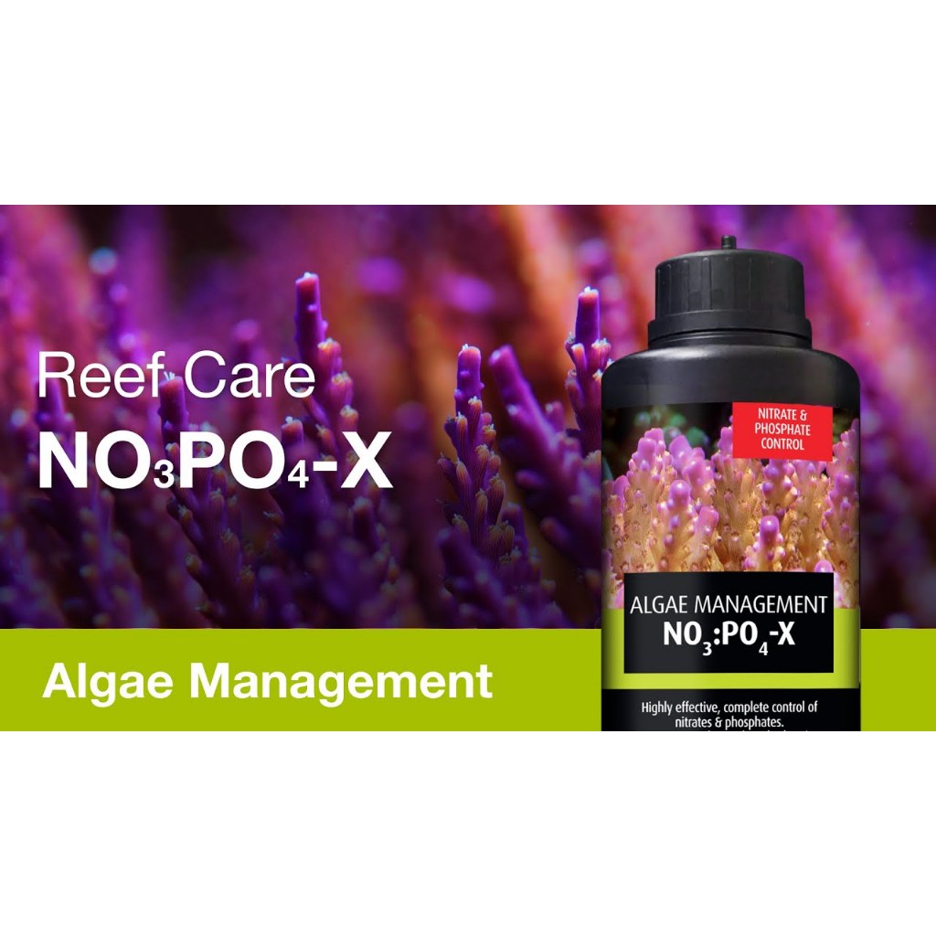 REDSEA NO3 : PO4-X ช่วยลดของเสียในตู้ทะเล 500ml. 📌การจัดส่งสินค้า📌 | Shopee Thailand