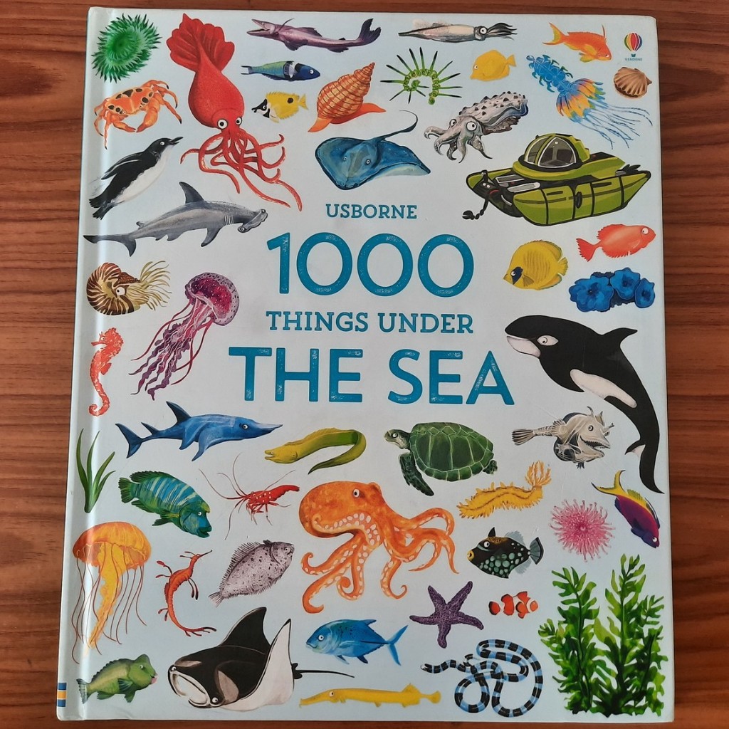 (มือสอง) [ปกแข็ง] หนังสือ สอนภาษาอังกฤษเด็ก Usborne 1000 Things Under ...