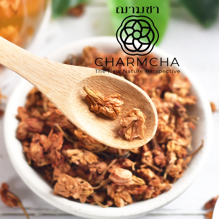 ชาดอกมะลิแดง (Jasmine Red Flower Tea) บำรุงหัวใจ แก้ร้อนในกระหายน้ำ ...