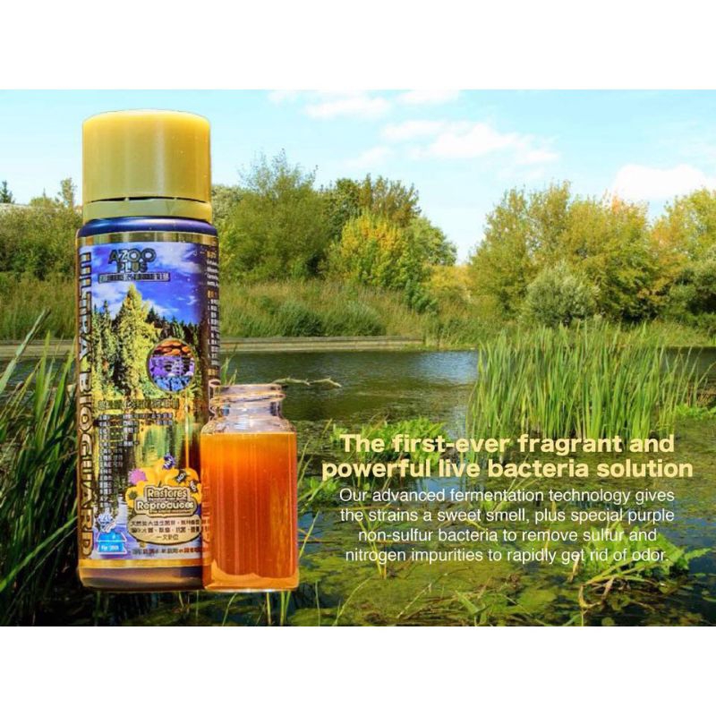 AZOO ULTRA BIOGUARD #Azoo ฝาทอง แบคที่เรียชนิดน้ำสูตรเข้มข้นพิเศษ ...
