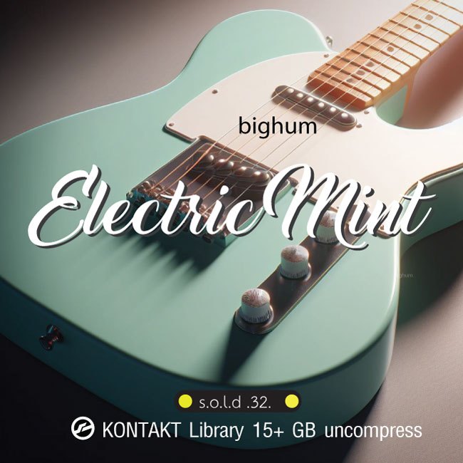 Electric Mint | Session Guitarist | Kontakt Library | VST software ...
