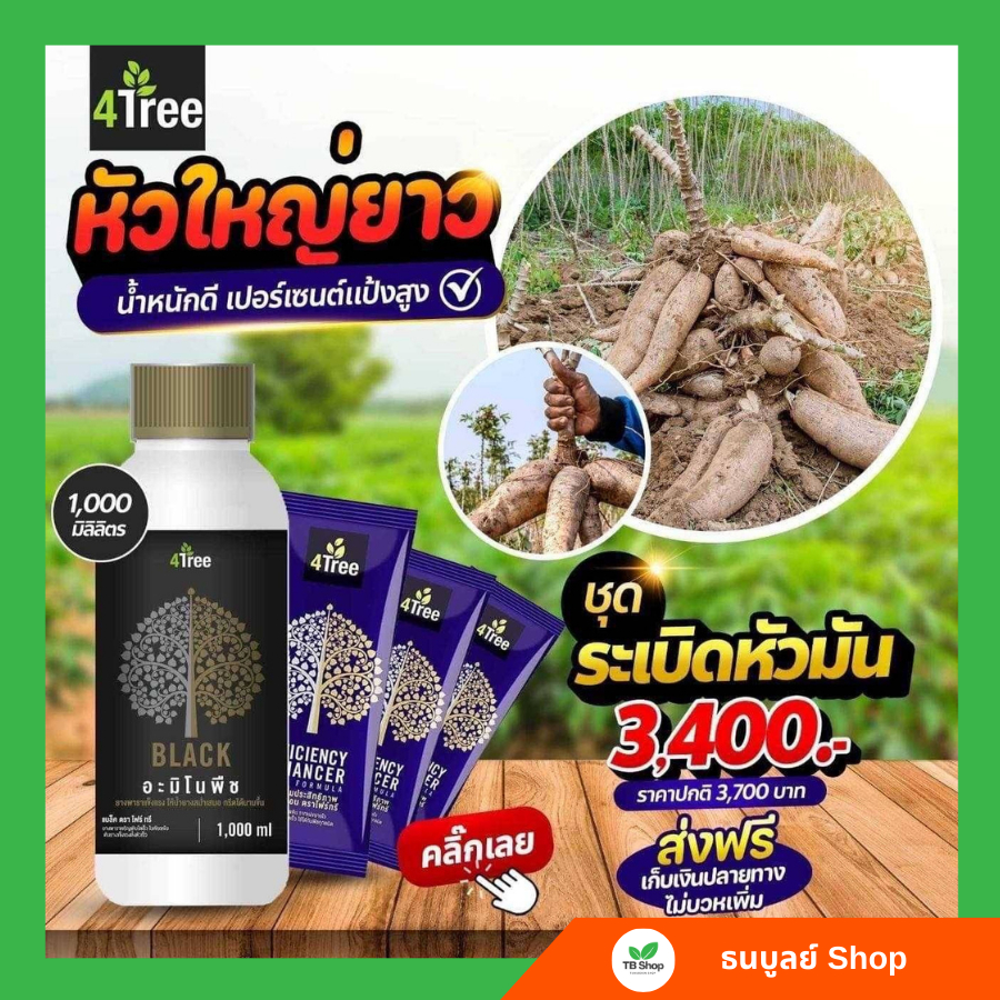 อะมิโนแล็ค (1000 ml.)+โฟร์ทรี (3 ซอง) 4Tree Amino Black สารเพิ่มประสิทธิภาพพืช สำหรับพืชสร้าง ...