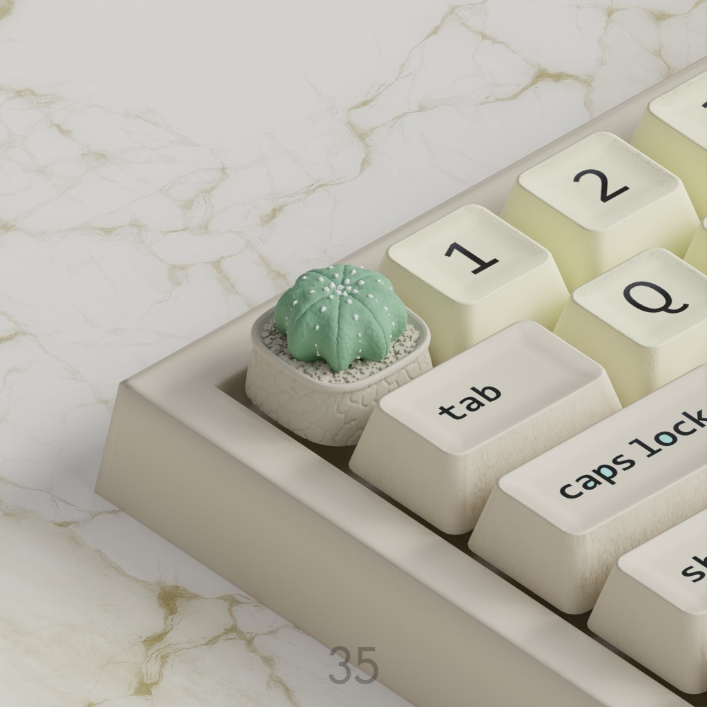 (พร้อมส่ง) (35) คีย์แคปกระบองเพชร "แอสโตร" ปุ่มคีย์บอร์ด แต่งคีย์บอร์ด ...