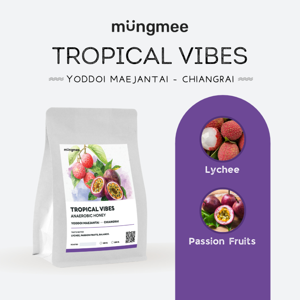 Mungmee Coffee เมล็ดกาแฟ คั่วอ่อน Yoddoi Maejantai - Tropical Vibes ...