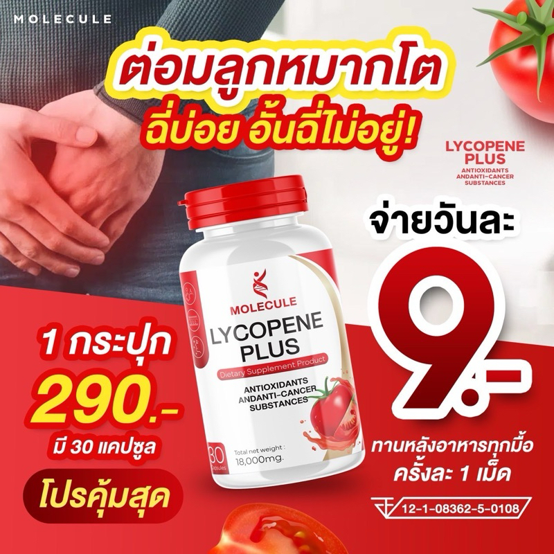 Molecule Lycopene Plus 30 Capsule อาหารเสริมบำรุงต่อมลูกหมาก ไลโคปีน ...