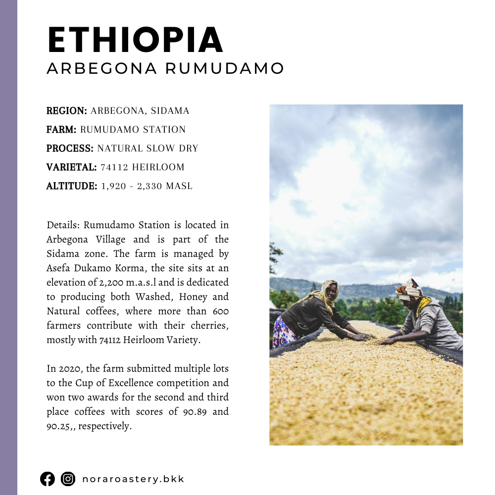 Ethiopia Arbegona Rumudamo Natural Slow Dry เมล็ดกาแฟคั่ว (Omni-Roast ...