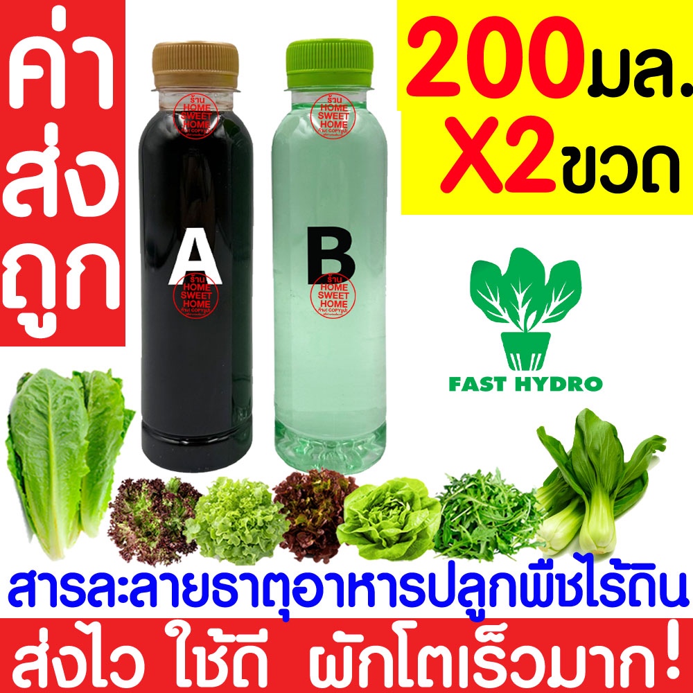 *ค่าส่งถูก* สารละลาย AB (200mlx2ขวด)ไฮโดรโปนิกส์ เอบี ธาตุอาหาร ผักไฮโดร Hydroponics ผักสลัด ผัก ...