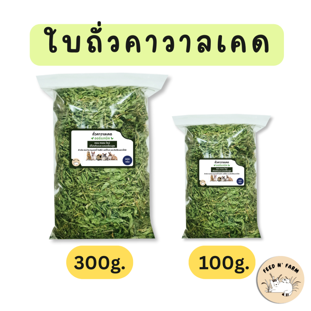 (100g./300g.) ใบถั่วคาวาลเคด อบแห้ง (เขียว หอม กรอบ ใหม่) สำหรับสัตว์ฟันแทะ (100g./300g ...