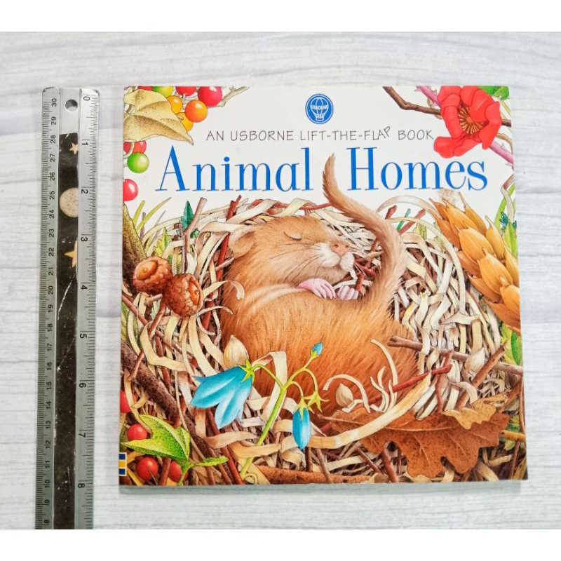 Animal Homes An Usborne Lift the Flap book นิทานภาพ ความรู้ภาษาอังกฤษ ...