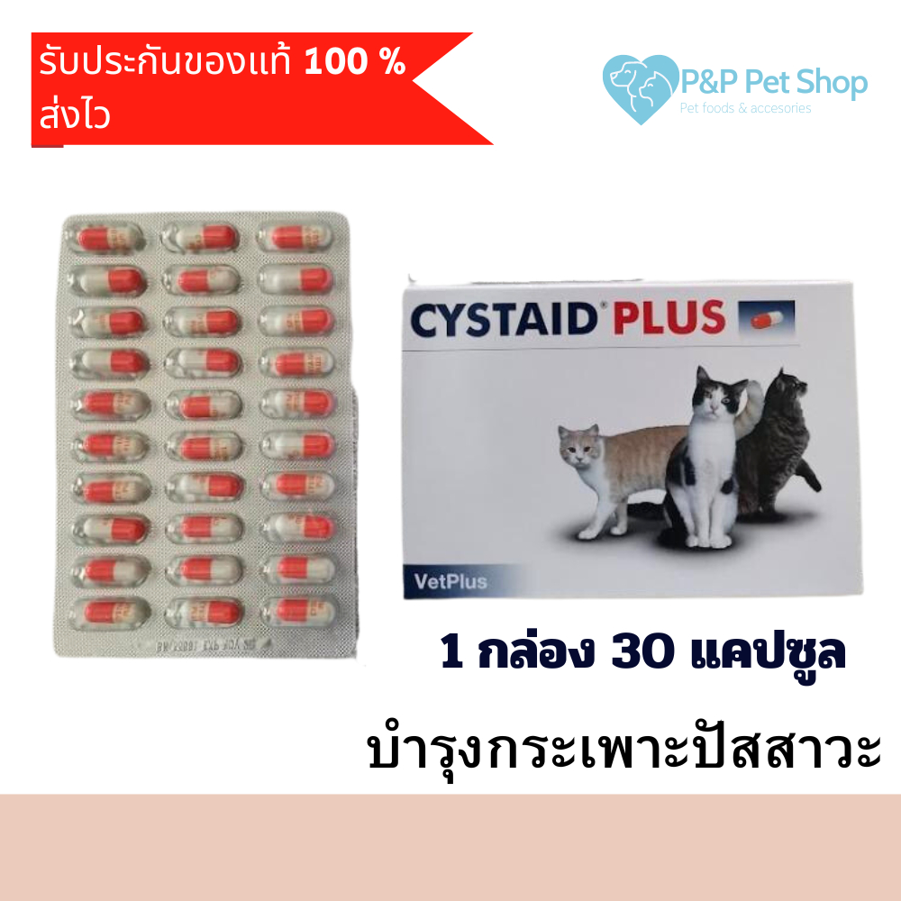 (ส่งไว ของแท้จากบริษัท)CYSTAID PLUS อาหารเสริมบำรุงทางเดินปัสสาวะ 1 ...