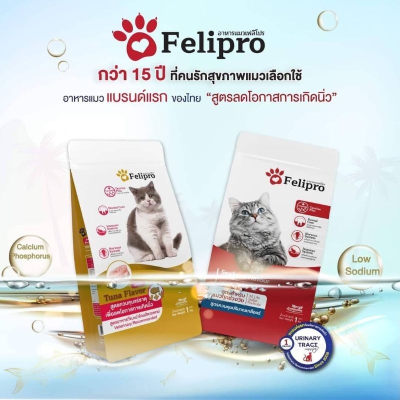 Felipro เฟลิโปร อาหารเม็ดแมวทุกช่วงวัย ไม่เค็ม ลดโอกาสการเกิดนิ่ว ขนาด ...