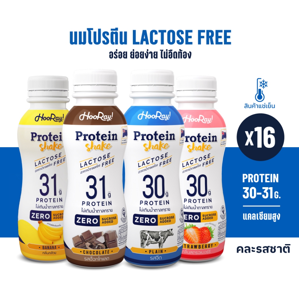 Hooray! Protein Shake Lactose Free นมโปรตีนสูตรเวย์ Pack 16 ขวด รอบส่ง ...