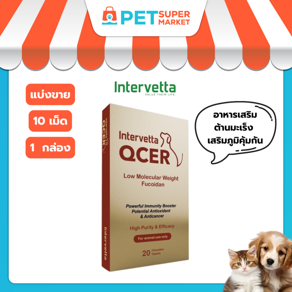 [ แบ่งขาย ] QCER คิวเซอร์ อาหารเสริมต่อต้านมะเร็ง เสริมภูมิคุ้มกันและปรับสมดุลร่างกาย สำหรับ ...