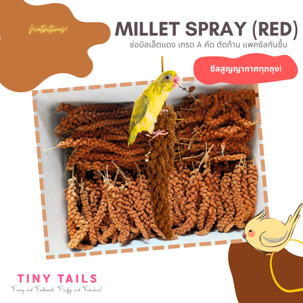 Red Millet Spray - มิลเล็ตสเปรย์ แดง คัดเกรด แพคถุงซีลสูญญากาศ สะอาด ...