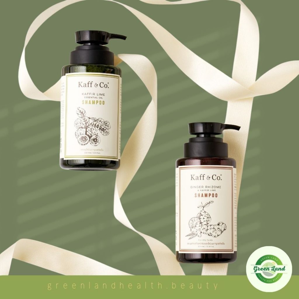 แชมพูเหง้าขิง และน้ำมันมะกรูดเย็น ขนาด 150 ml. ขนาด 300 ml. บํารุงผม KAFF & CO. | Shopee Thailand
