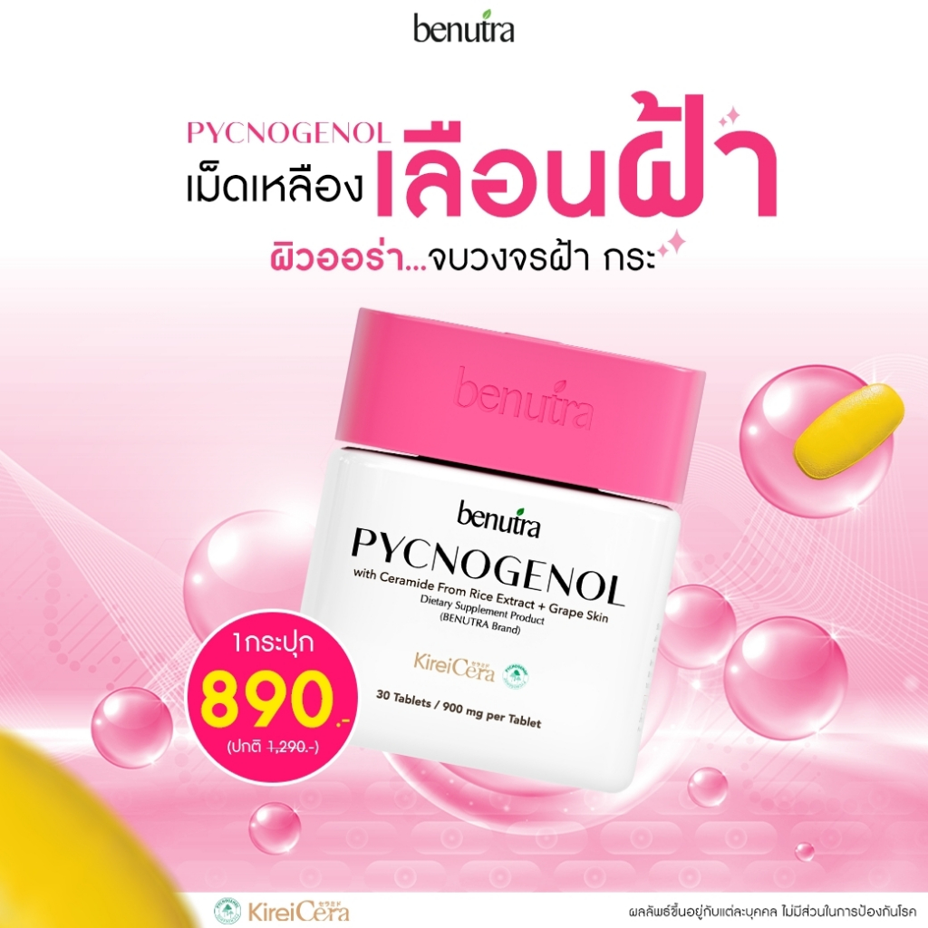 BENUTRA - PYCNOGENOL with Ceramide + Grape Skin เปลือกสนฝรั่งเศส จมูก ...