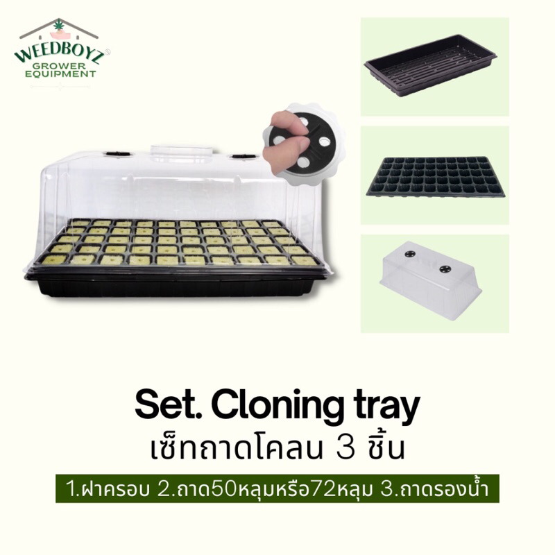 Set Cloning tray 50หลุมและ72หลุม ถาดโคลน ถาดเพาะเมล็ด ปักชำกัญชา ...
