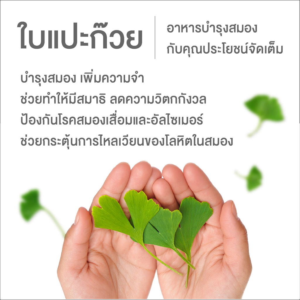 InterCare Active-B Plus Ginkgo แอคทีฟบีพลัสจิงโกะ บำรุงสมองเพิ่มความจำ สกัดจากใบแปะก๊วย วิตามินบ ...