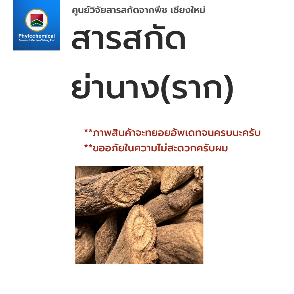 สารสกัดย่านาง(ราก)(แบบน้ำ) Bamboo grass root extract | สารสกัดจากพืช ...