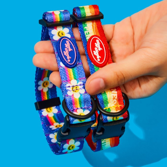 ( พร้อมส่ง ) Wiggle Wiggle Pet Collar & Leash Set ปลอกคอสัตว์เลี้ยง และ ...