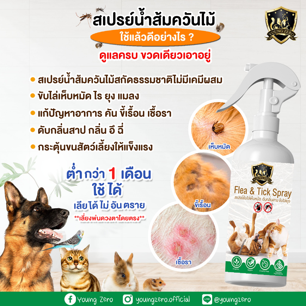 [🔥เห็นผลใน 3 วัน] Young Zeroสเปรย์รักษาขี้เรื้อนหมาแมว หนู กระต่าย เชื้อรา ยีสต์ แบคทีเรีย โรค ...