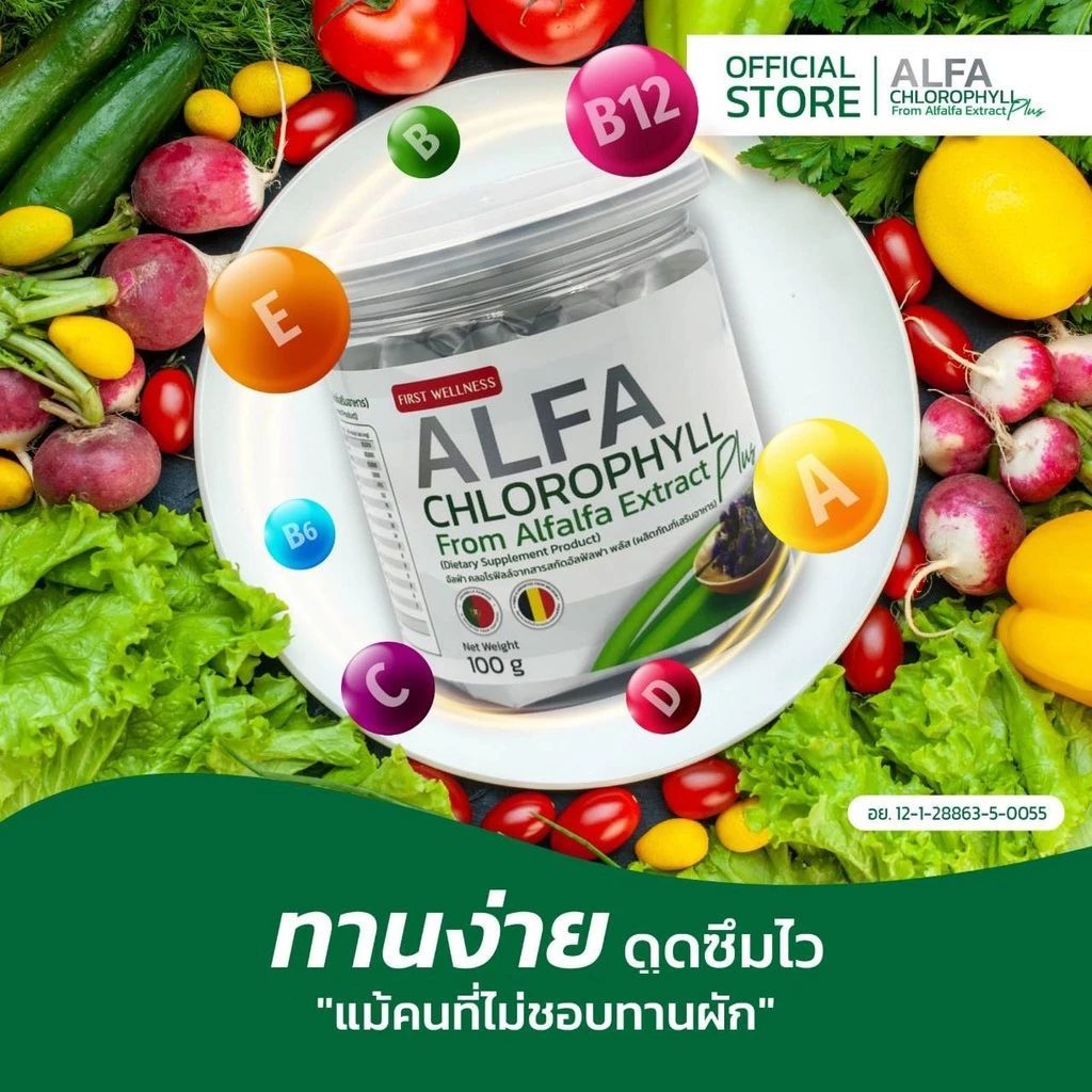 ALFA คลอโรฟิลล์ Chlorophyll เฟิร์ส อัลฟ่า คลอโรฟิลล์ by First Wellness (1 กระปุก 100g.) | Shopee ...