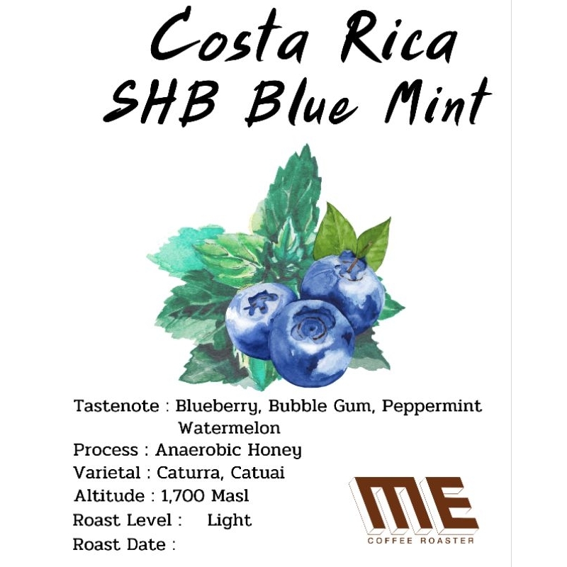 เมล็ดกาแฟ Costa Rica SHB Blue Mint คั่วอ่อน (Blueberry ชัดมากๆ ...