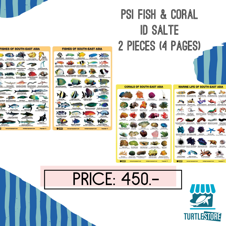 PSI Fish & Coral ID Salte 2 pc Underwater Corals Fishes ID for Thailand ...