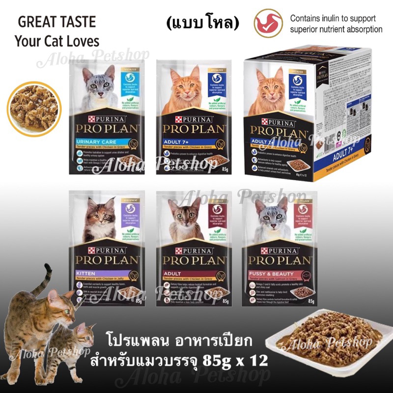 (แบบโหล)Proplan Premium Cat Pouch ️😸 โปรแพลน อาหารเปียกเกรดพรีเมี่ยมสำหรับแมว บรรจุ 85gx12 ...