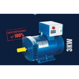 PAYOO ไดนาโมปั่นไฟ รุ่นST-3KW | Shopee Thailand