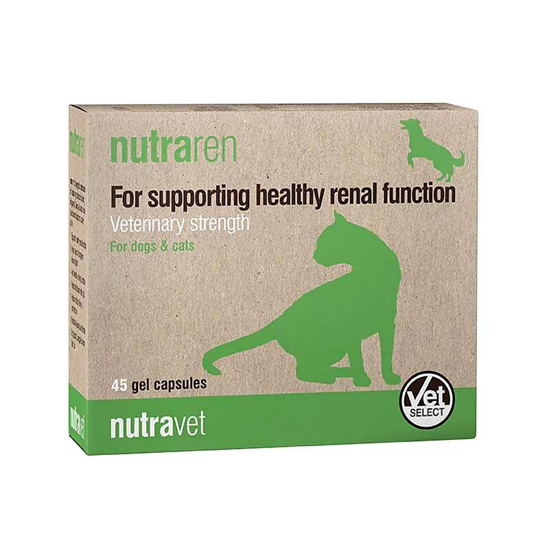 Nutravet Nutraren อาหารเสริมบำรุงไตสุนัข อาหารเสริมบำรุงไตแมว อาหาร ...