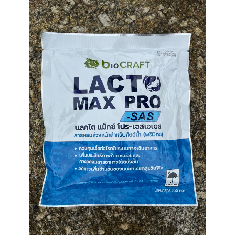 Lacto Max - แลตโต แมกซ์ | Shopee Thailand