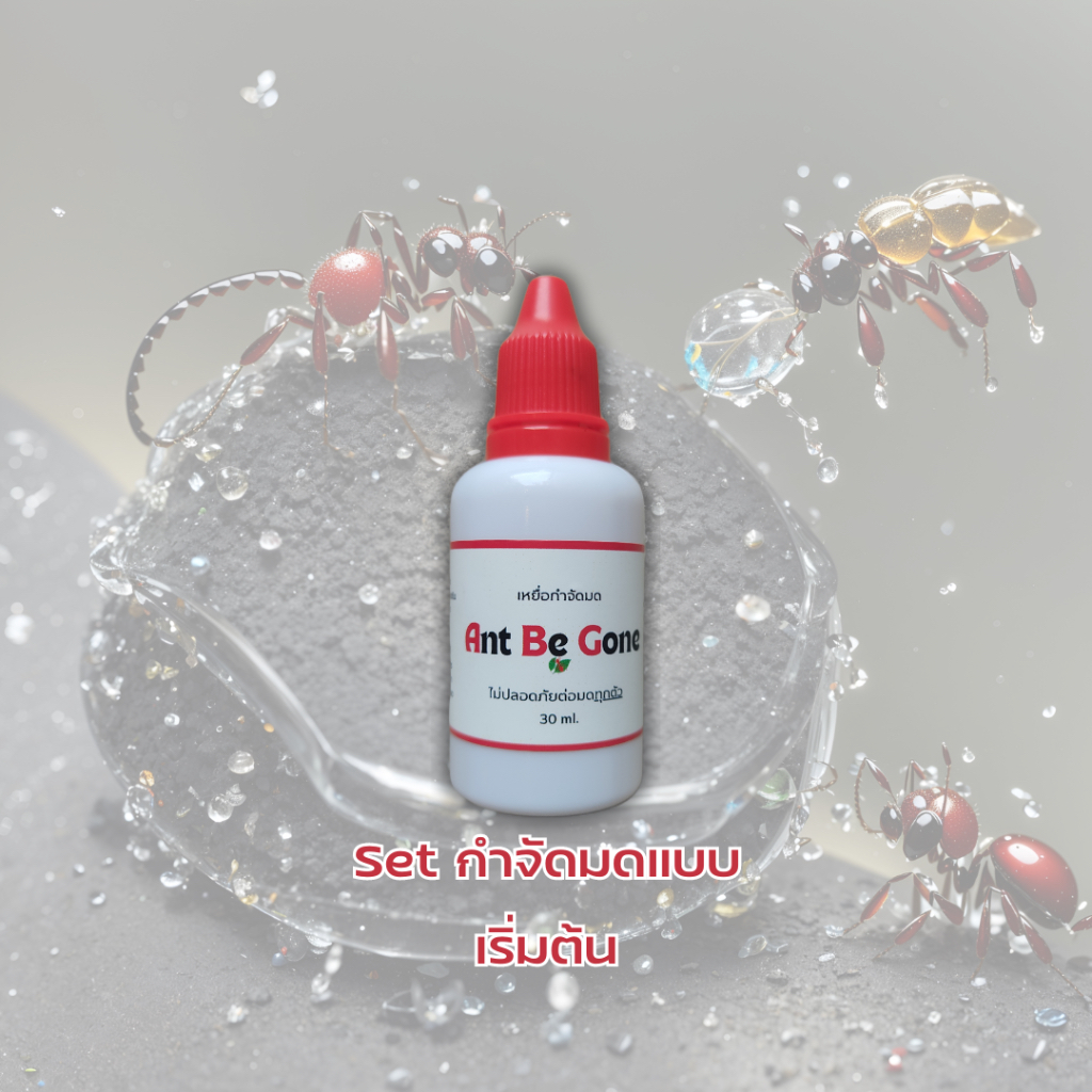 Ant Be Gone เหยื่อกำจัดมด เจลใส ปลอดภัย ไร้กลิ่นรบกวน | Shopee Thailand