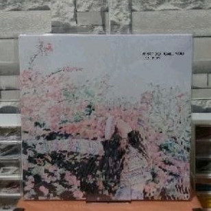 แผ่นเสียง TAEYEON - What Do I Call You (4th Mini Album) (LP Ver ...