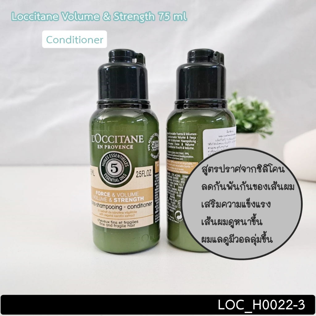 Loccitane Volume & Strength 75 ml | Shopee Thailand