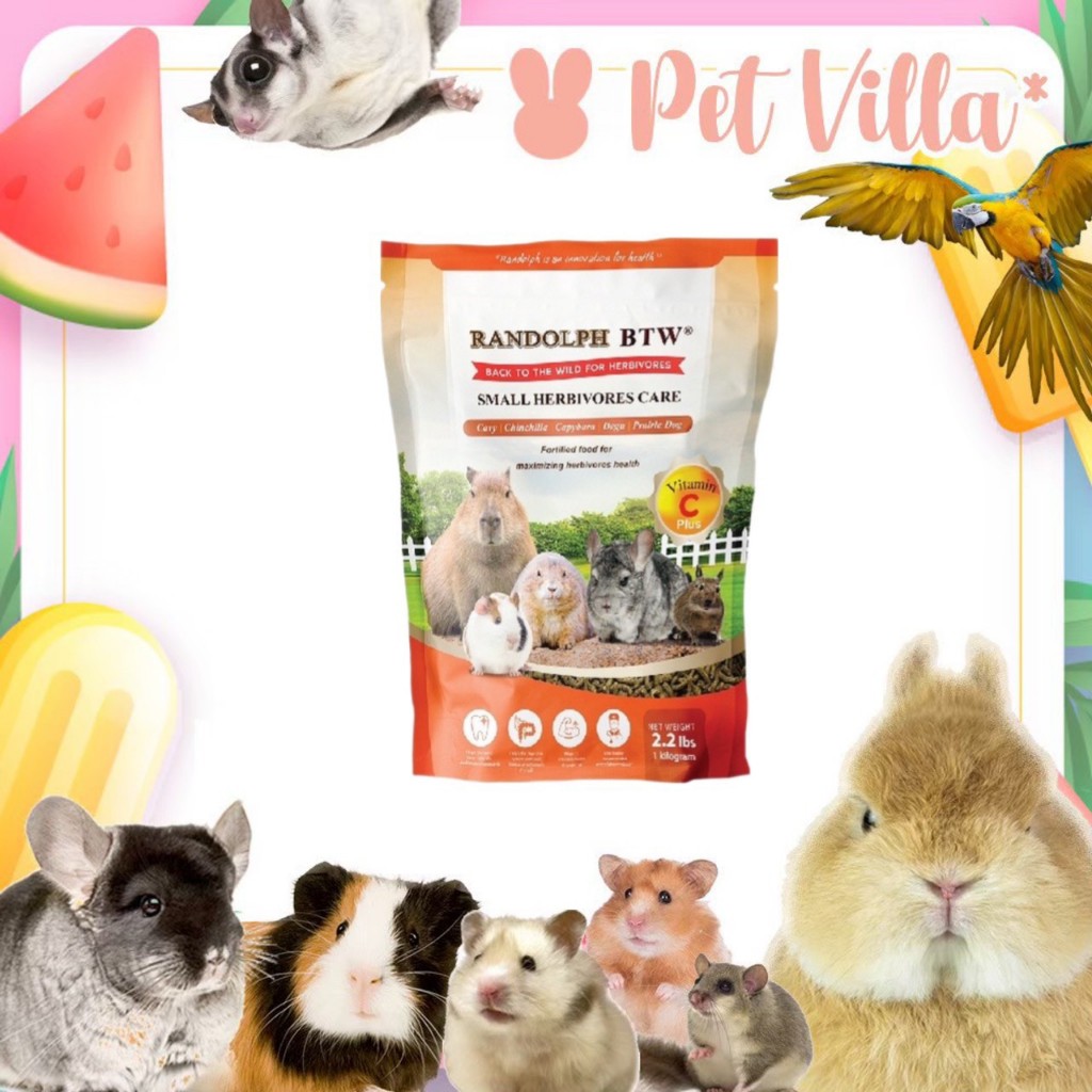 Randolph BTW Small Herbivores Care อาหาร เสริมวิตามินซี สำหรับหนูแกสบี้ แพรี่ด็อก | Shopee Thailand
