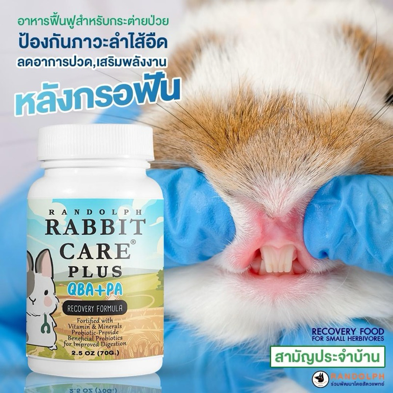 ของใหม่💢 Randolph Rabbit Care Cavy Care แรนดอล์ฟ แรบบิทแคร์ เควี่แคร์ ...