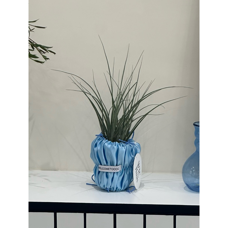 [welcometoccc] POUPOU POT POPO mini size flower pot made in korea ...