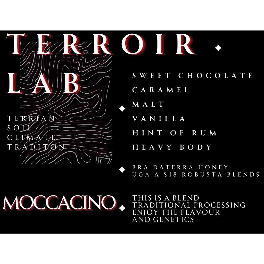 เมล็ดกาแฟ " Moccacino " - Terroir Laboratory - Medium Roast - 250g ...