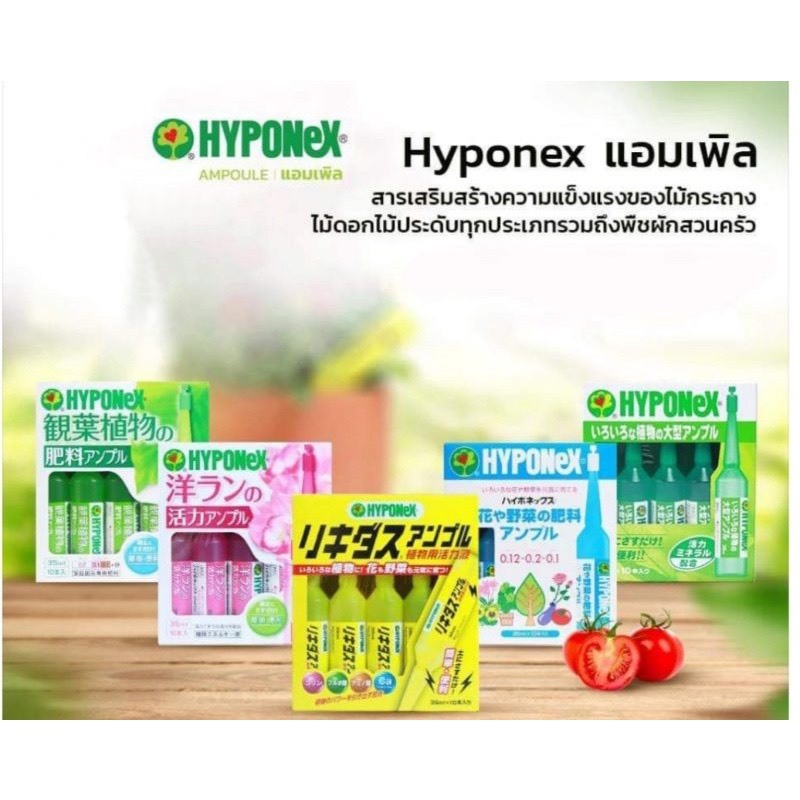 Hyponex แอมเพิล ปุ๋ยปักลงกระถาง ปุ๋ยปัก มี 5 สูตร 10 หลอดต่อกล่อง (Ampoule) ปุ๋ยปักญี่ปุ่น ปุ๋ย ...