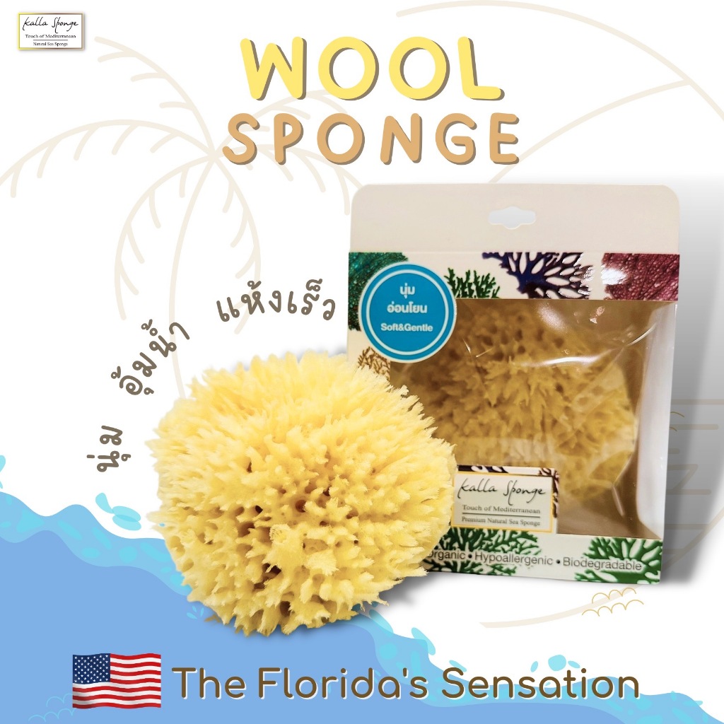 KALLA SPONGE ฟองน้ำธรรมชาติจากประเทศสหรัฐอเมริกา ชนิด Wool สีเหลือง สำหรับอาบน้ำ | Shopee Thailand