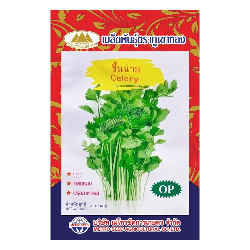 เมล็ดขึ้นฉ่าย Celey เมล็ดพันธุ์ เมล็ดพันธุ์ผัก เมล็ดพันธุ์พืช ผัก ...
