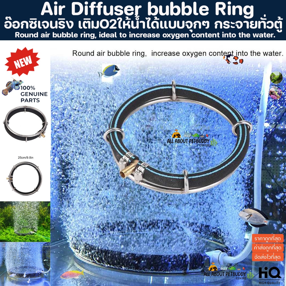 Air Diffuser Ring อ๊อกซิเจนริงค์ แบบวงกลม สำหรับเติมอ๊อกซิเจนใน บ่อปลา ...