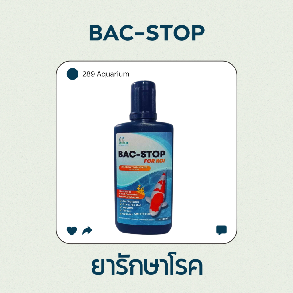 BAC-STOP สำหรับปลาคาร์ฟ ปลาทอง 100 ml. | Shopee Thailand