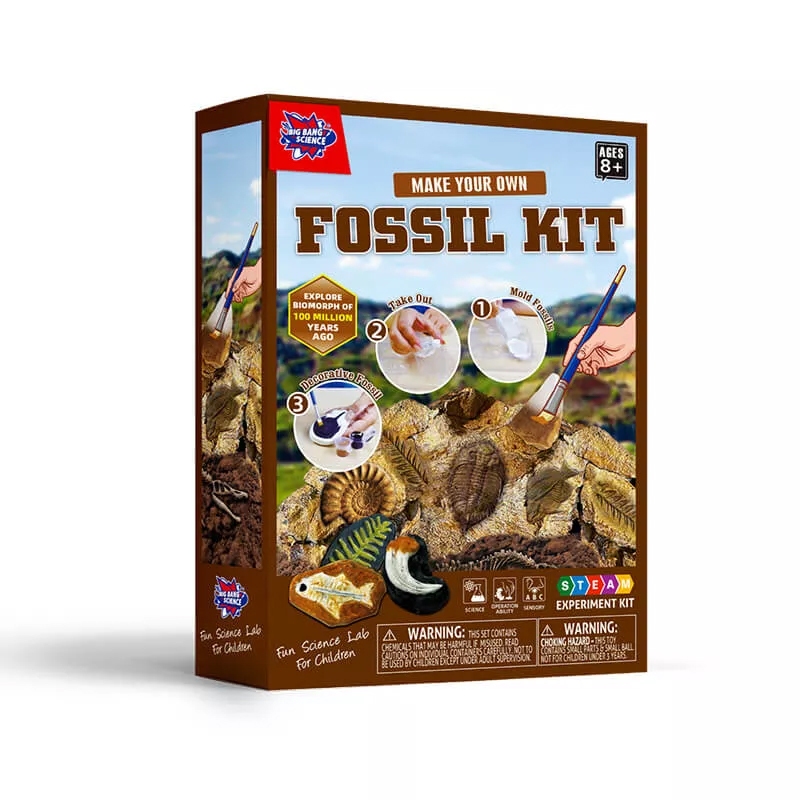 ของเล่นเพื่อการศึกษา STEM / STEAM ชุด Make Your Own Fossil Kit (ทำ ...